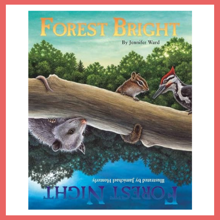 Forest Bright, Forest Night — Kindergarten Crate
